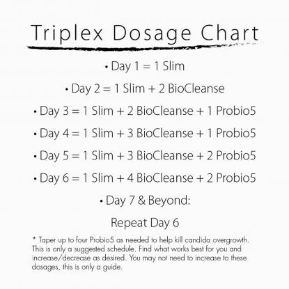 Plexus Setup - Jorden Bench